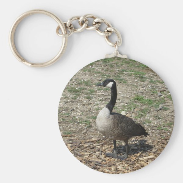 Personalized Goose Gifts on Zazzle