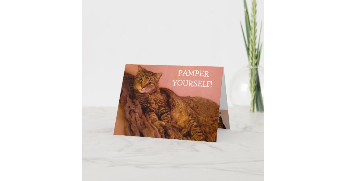 Cancer Is Exhausting Funny Cat Card | Zazzle