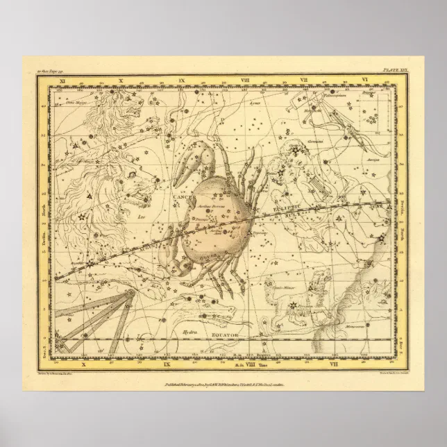 Cancer Poster | Zazzle