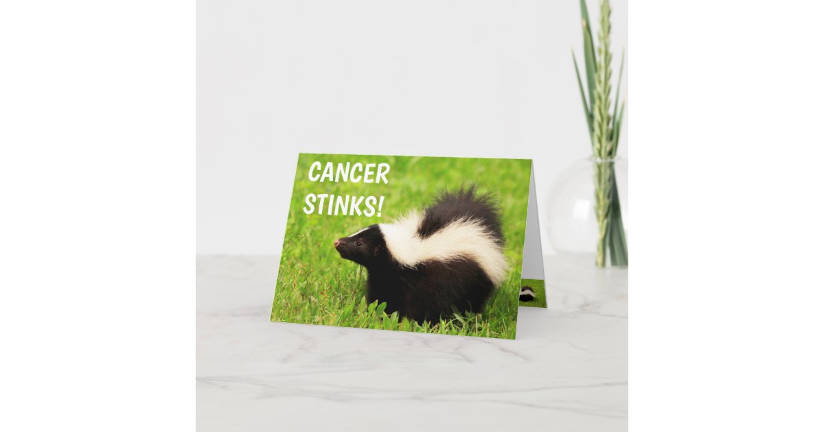 Cancer Stinks Funny Encouragement Card | Zazzle