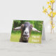 Cancer Support Funny Goat Card | Zazzle
