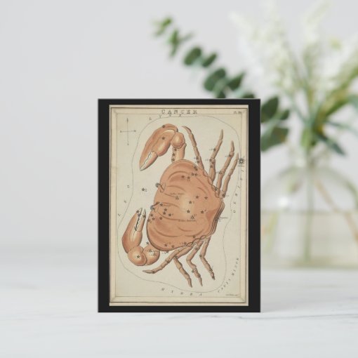 Cancer the Crab Postcard | Zazzle