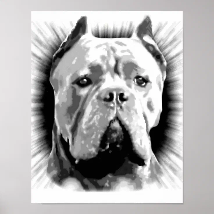 Cane Corso Dog Poster | Zazzle