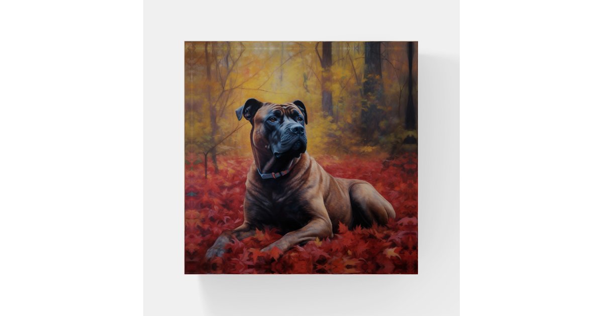 Cane Corso in Autumn Leaves Fall Inspire Paperweight | Zazzle