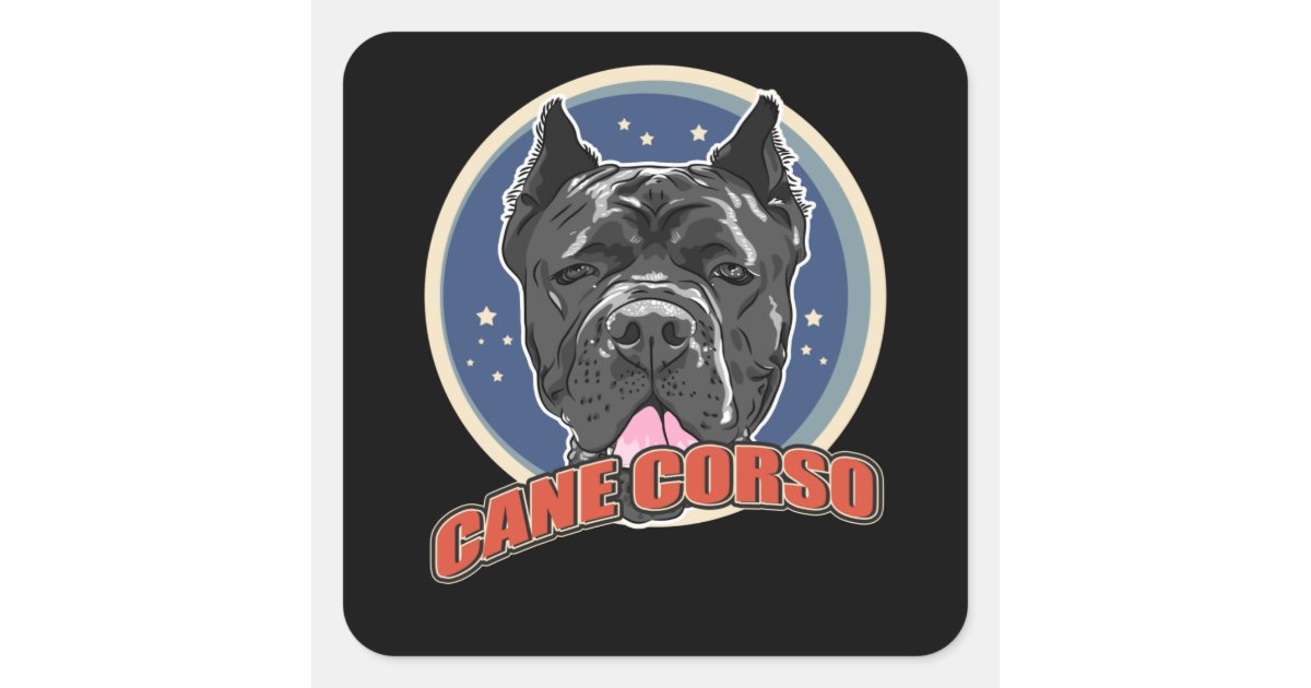 Cane Corso Italiano Dog | Cane Corsos Square Sticker | Zazzle