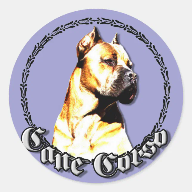 Cane corso stickers | Zazzle