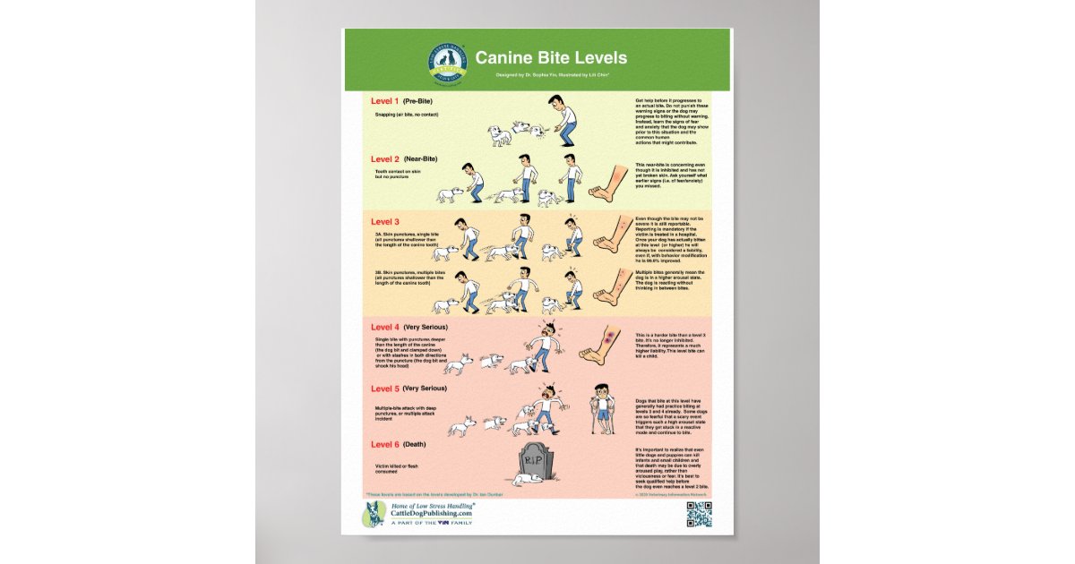 Canine Bite Levels Poster | Zazzle