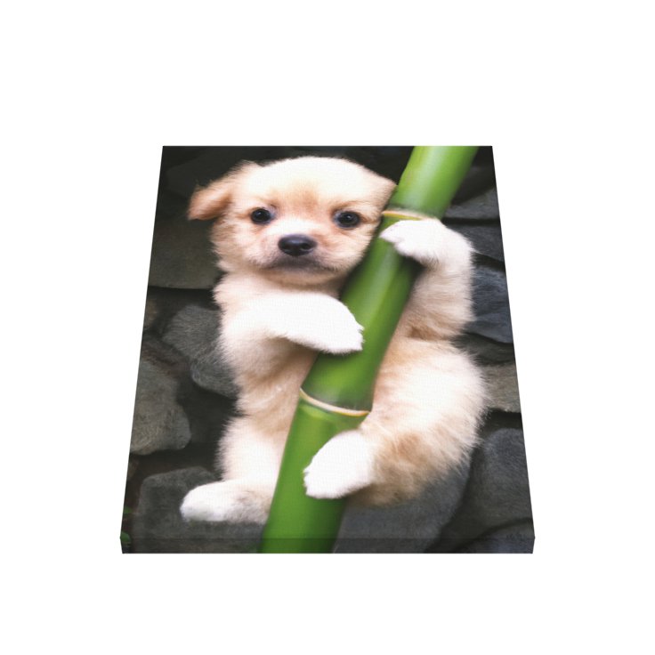 Canvas Cute Puppy Gaejook 개죽이 | Zazzle