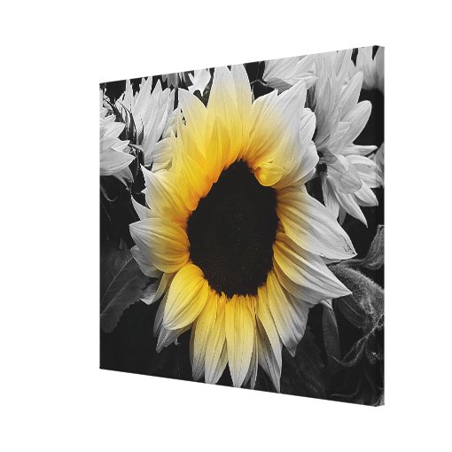 Canvas Print - Sunflower | Zazzle