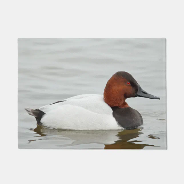 Canvasback Duck Drake Doormat | Zazzle