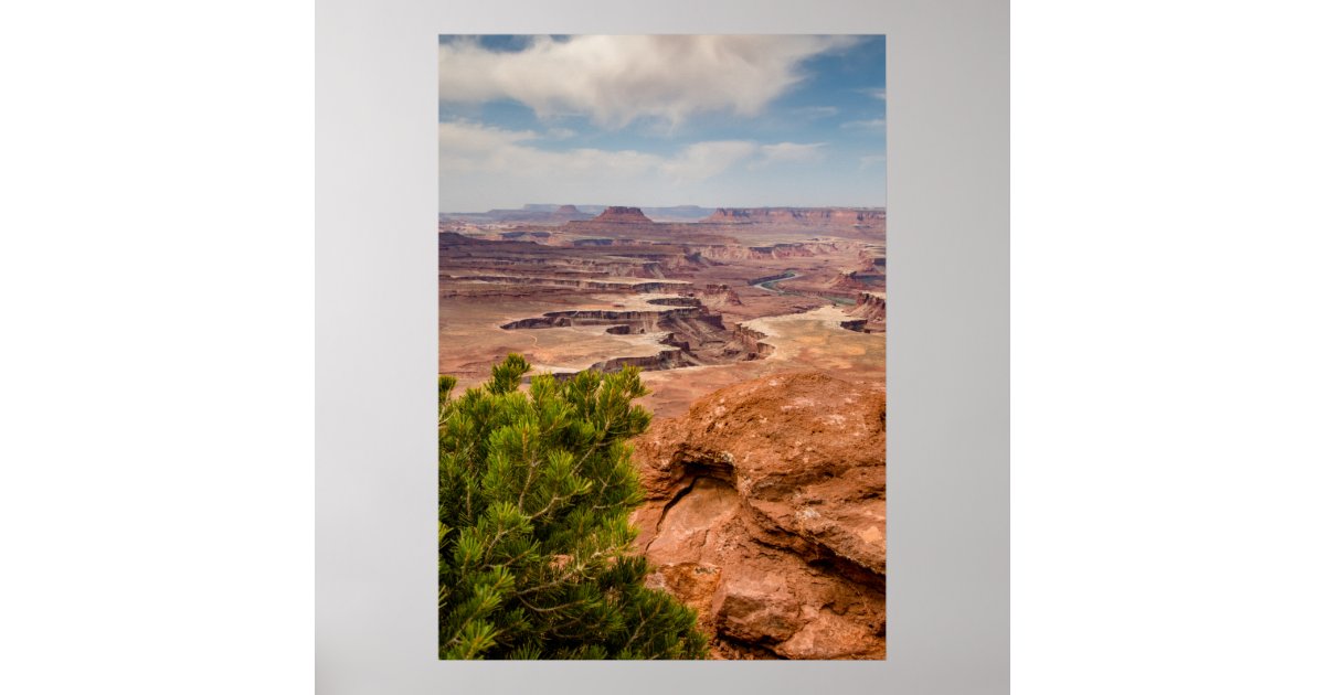 Canyonlands National Park Poster | Zazzle