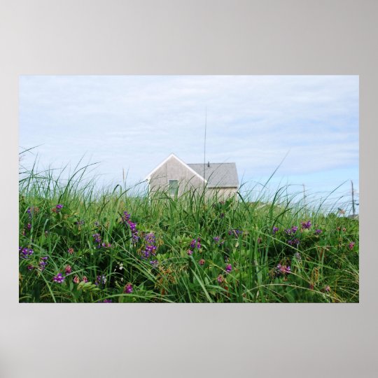Cape Cod Beach House Poster | Zazzle.com