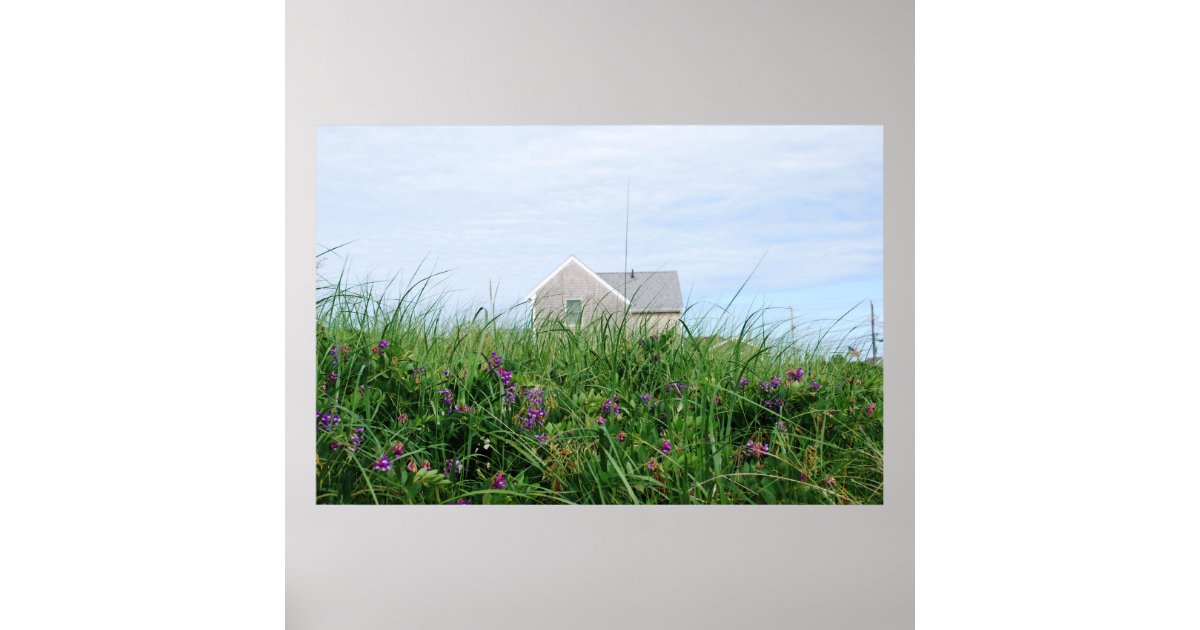 Cape Cod Beach House Poster | Zazzle