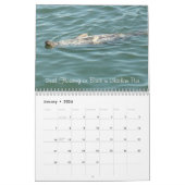 Cape Cod, Mass Calendar | Zazzle