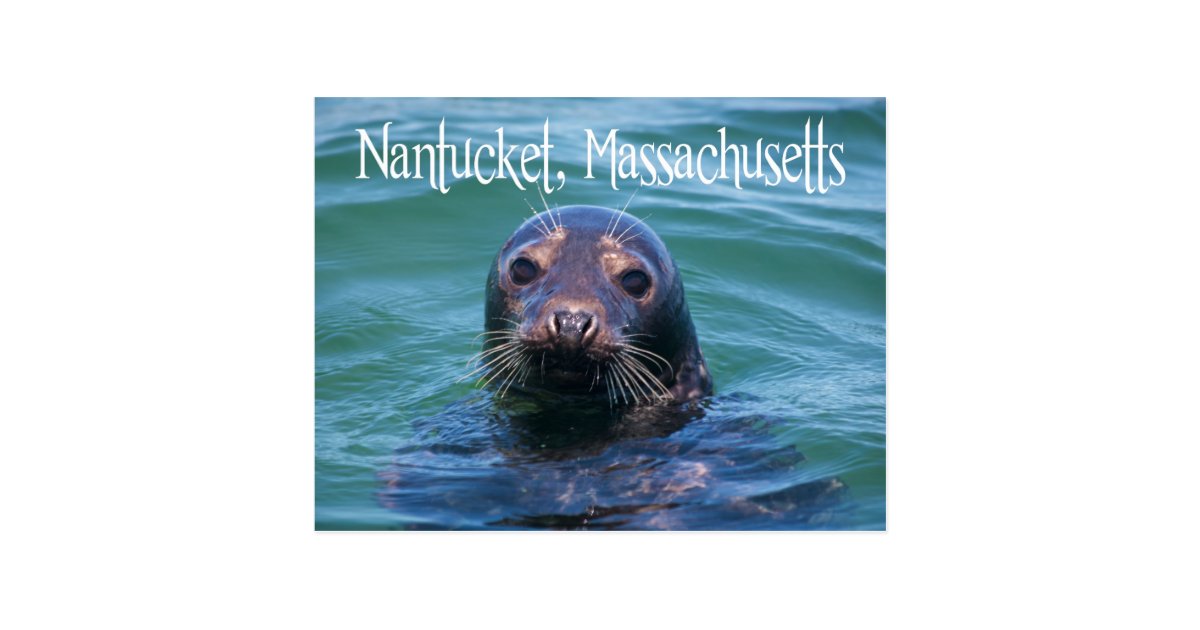Cape Cod, Nantucket, Massachusetts Seal Postcard | Zazzle.com