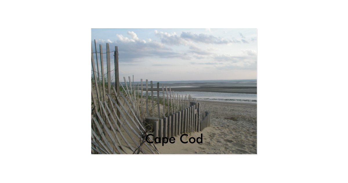 Cape Cod Postcard | Zazzle.com