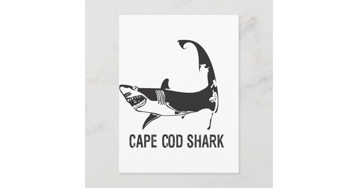 CAPE COD SHARK POSTCARD | Zazzle