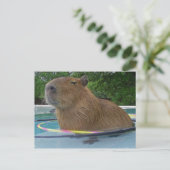 Caplin Rous with Hoola Hoops Postcard | Zazzle