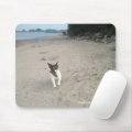 Capo von Oppenheim Jack Russell Terrier, Dog Mouse Pad | Zazzle