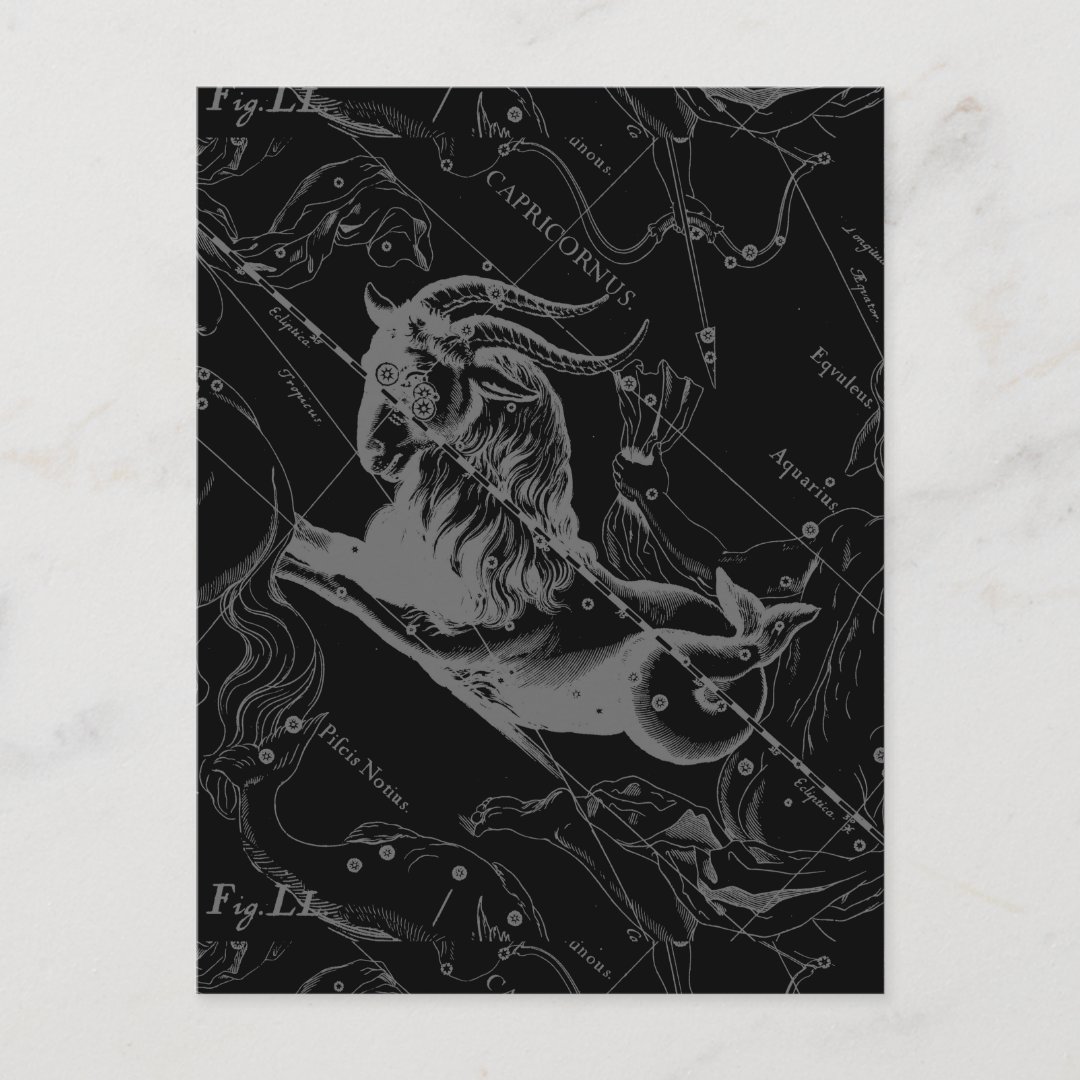 Capricorn Constellation Map Hevelius Engraving Postcard | Zazzle