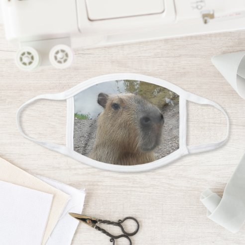 Personalized Capybara Gifts on Zazzle