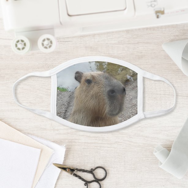 Personalized Capybara Gifts on Zazzle