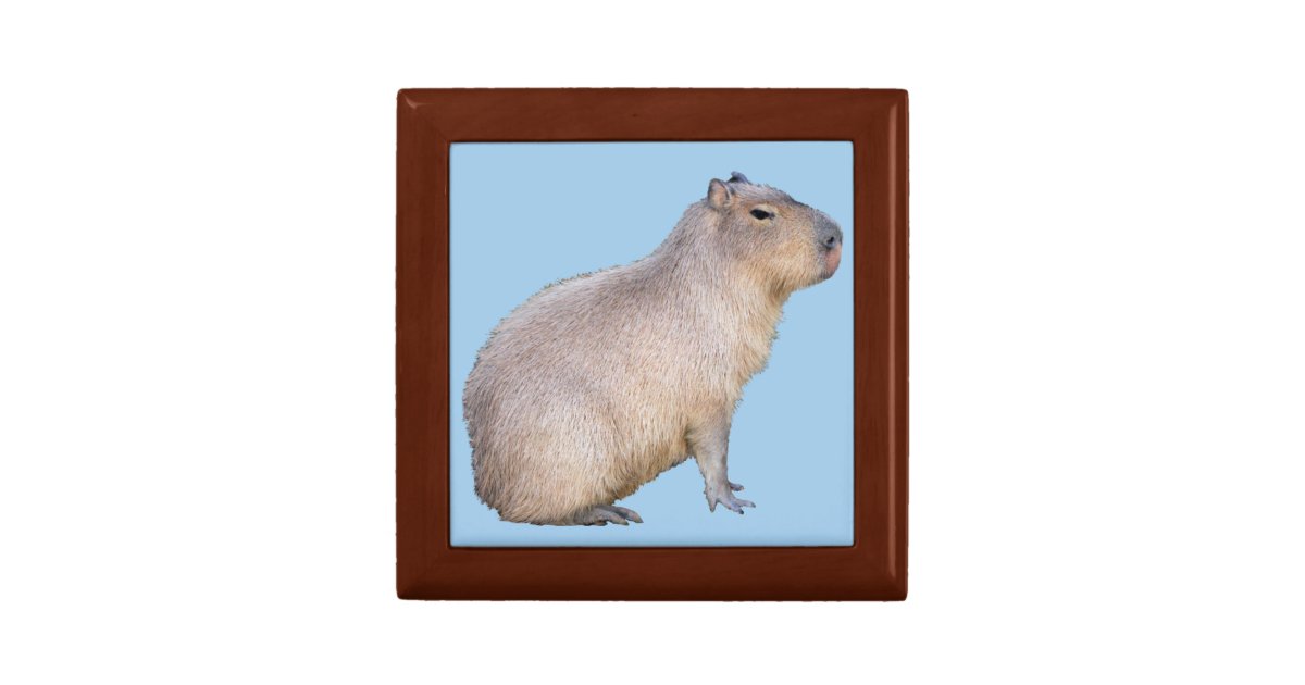 Capybara Gift Box | Zazzle
