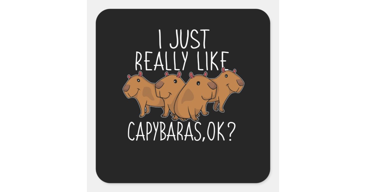 Capybara Gift Kids Women Cute Capybara Square Sticker | Zazzle