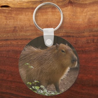 Capybara Keychain | Zazzle