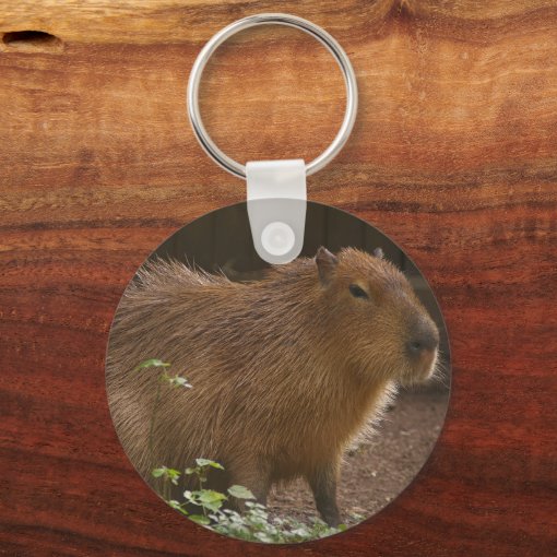 Capybara Keychain | Zazzle