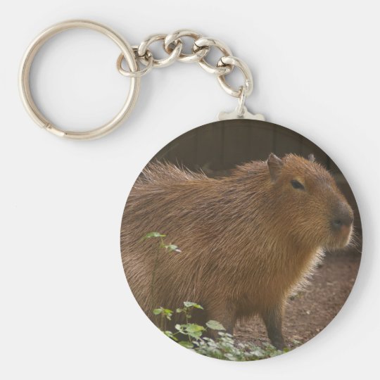 Capybara Keychain | Zazzle.com