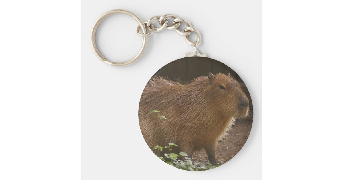 Capybara Keychain | Zazzle.com