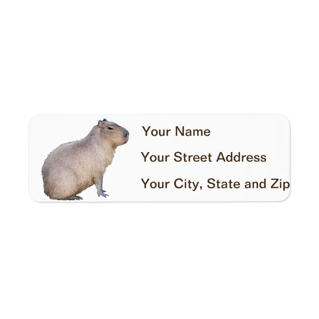 Capybara Label | Zazzle