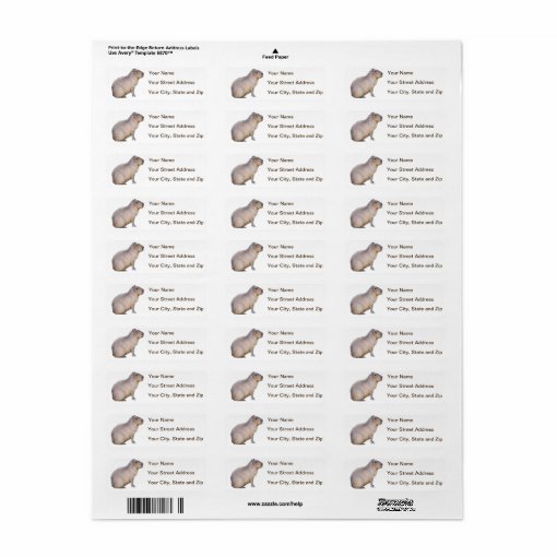 Capybara Label | Zazzle