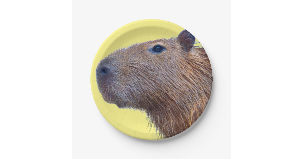 Capybara Paper Plates | Zazzle
