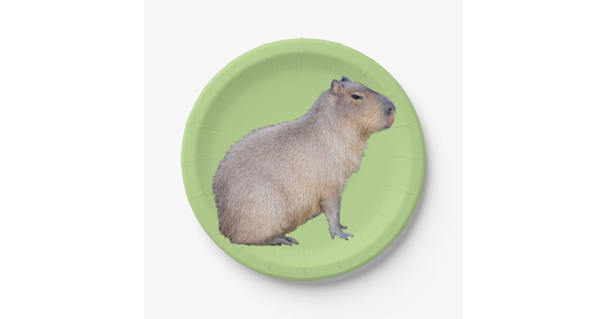 Capybara Paper Plates | Zazzle