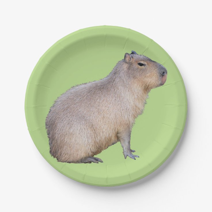 Capybara Paper Plates | Zazzle
