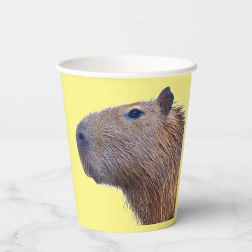 Capybara Paper Plates Paper Cups | Zazzle