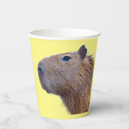 Capybara Paper Plates Paper Cups | Zazzle
