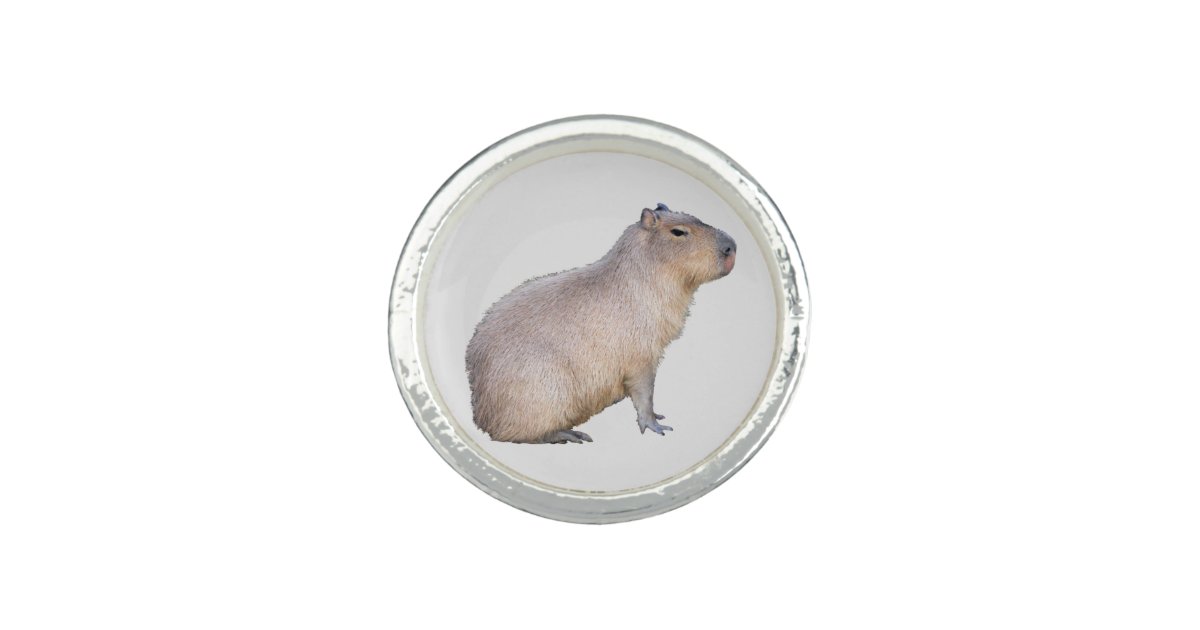 Capybara Ring | Zazzle