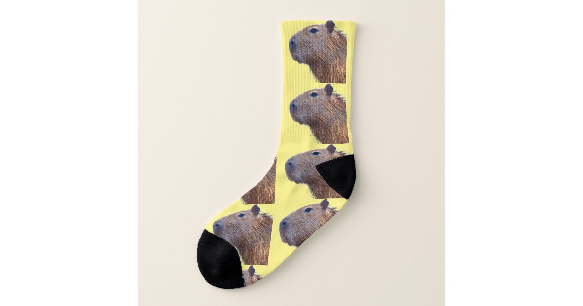 Capybara Socks | Zazzle