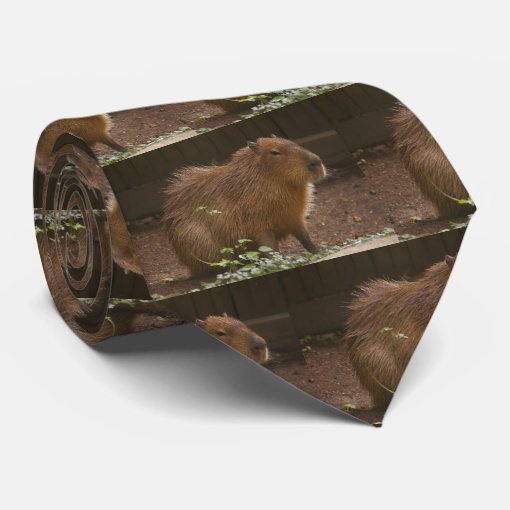 Capybara Tie | Zazzle