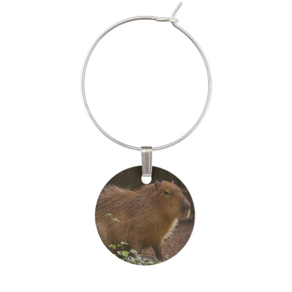 Personalized Capybara Gifts on Zazzle