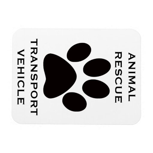 Car Magnet: Animal Rescue Transport Vehicle Magnet | Zazzle