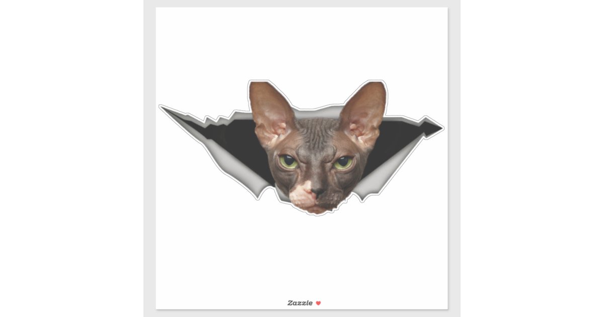 Car sticker Sphynx cat sticker Sphynx decal | Zazzle