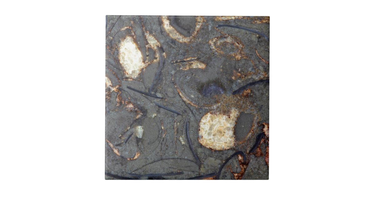 Carbonate rock with fossils ceramic tile | Zazzle