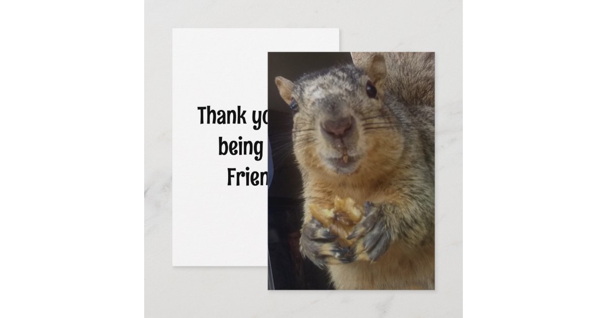 Card - Squirrel Thank You | Zazzle