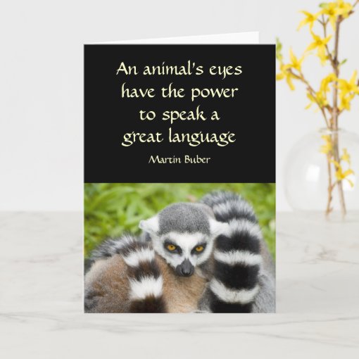 Card with Quote - Cute Lemur Stripey Tail | Zazzle