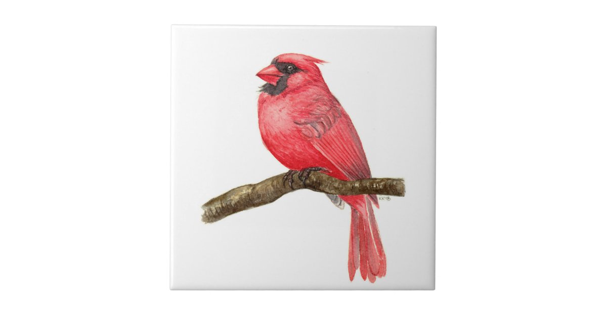 Cardinal bird watercolor ceramic tile | Zazzle