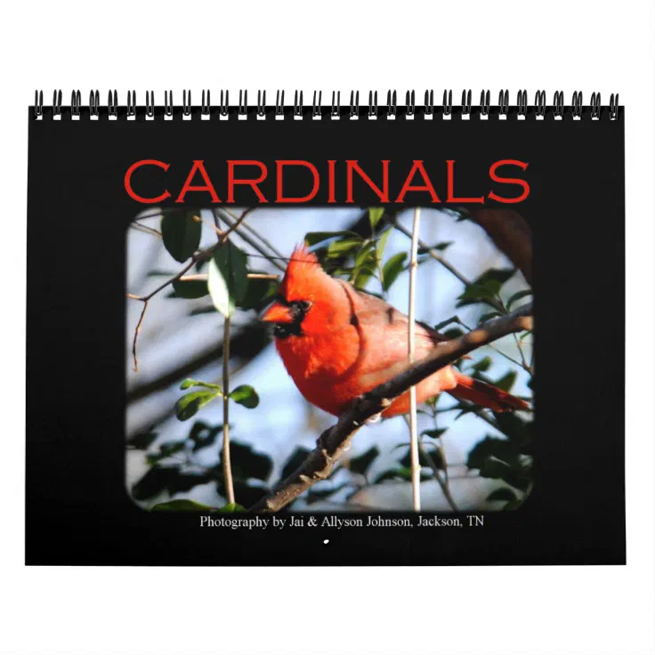 Cardinal Calendar | Zazzle